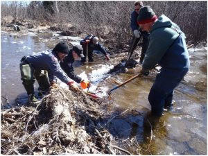 Maine: DIFW, Partners Work to Enhance Smelt Spawning | Outdoor Wire