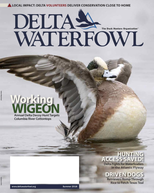Summer Issue Highlights Delta Waterfowl’s Voice for Duck Hunters, Local ...