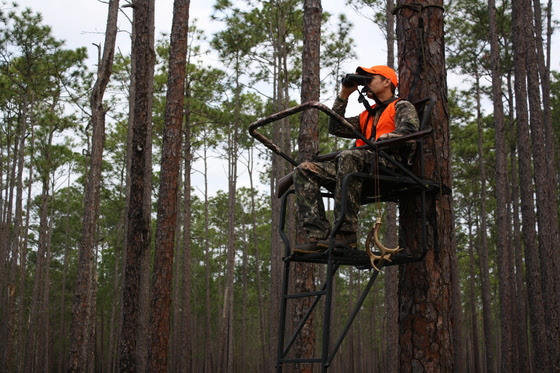 Florida: Phase 1 application deadline for quota/limited entry hunts is ...