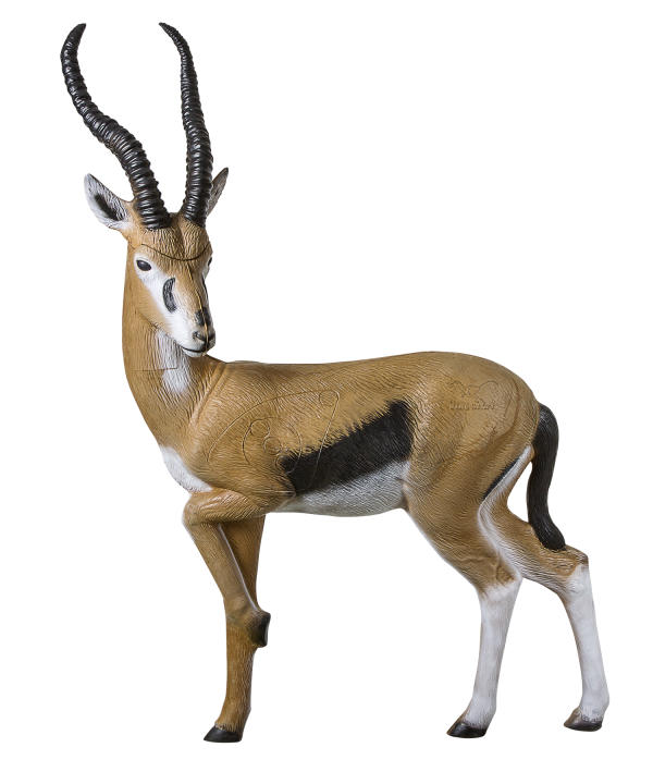 Practice With Gazelle Intensity On The New 3D Target From Rinehart ...