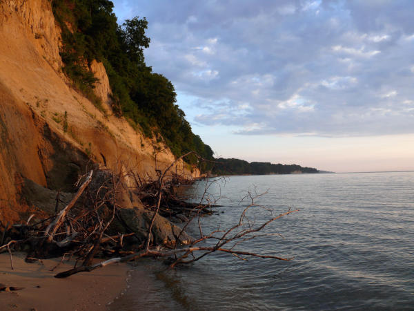 Smithsonian Institution Scholarly Press (SISP) Releases Publication on ...