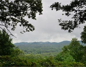 Indiana forestry division hosting open houses | Outdoor Wire