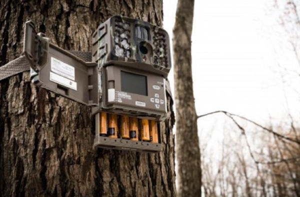 S-50i Game Camera in Realtree Original Camo | The Outdoor Wire