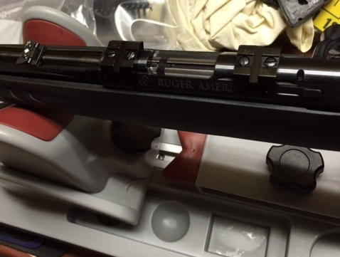 Ruger American Rimfire Compact: Visual Aid | Shooting Wire