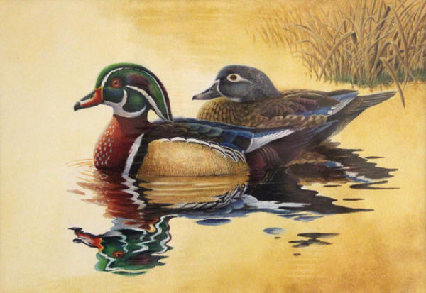 Alabama: Conservation Waterfowl Stamp Art Contest Now Open | Outdoor Wire