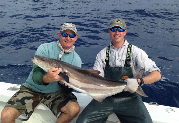New Federal Regs for Cobia in Atlantic States | Outdoor Wire