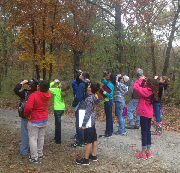 Would You Like to Join a Young Birders Club? | Birding Wire