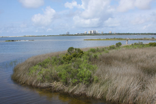 FWC and partners update the Florida Wildlife Conservation Guide ...