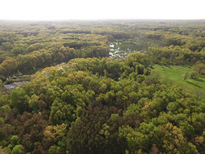 Michigan: take part in state forest planning process | Outdoor Wire