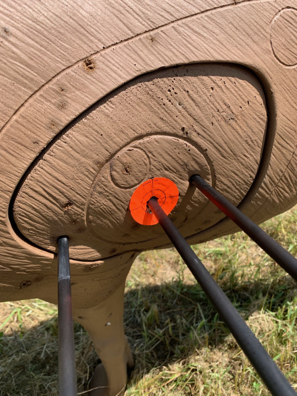 S3DA to Include Bonus “Fun Shoots” at 3-D Nationals | Outdoor Wire