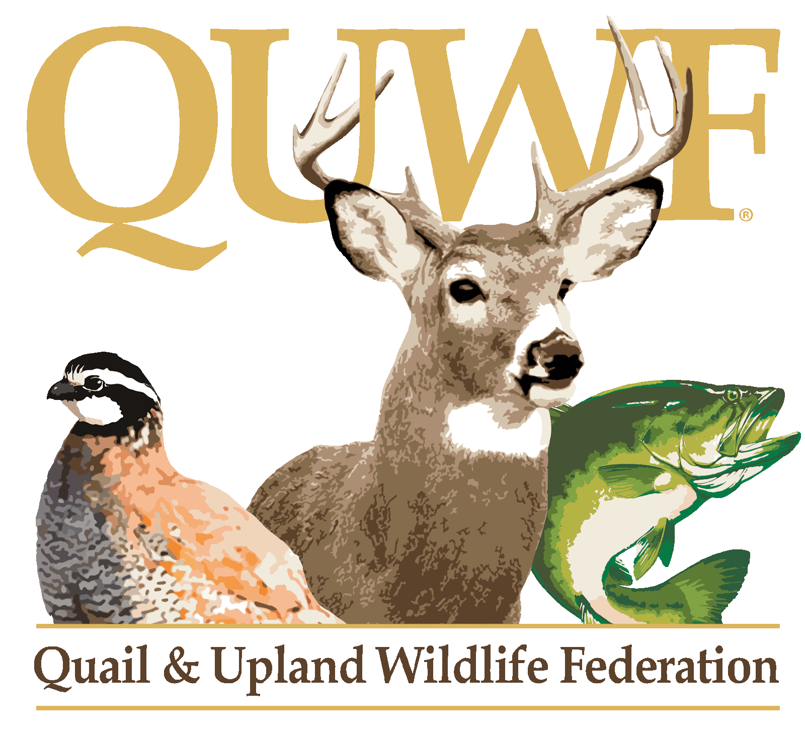 QUWF Adds Three Chapters in the Midwest | Outdoor Wire