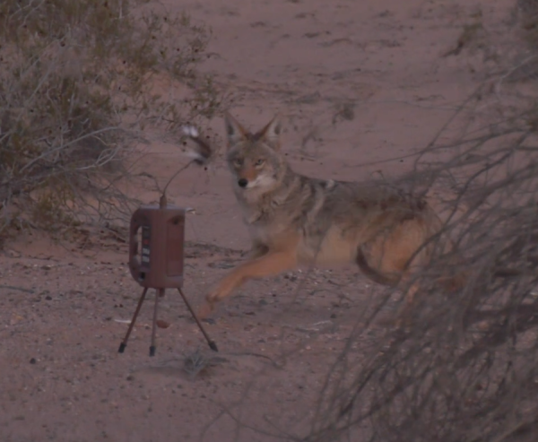 Catch up on MOJO® TV This Week on Sportsman Channel | Outdoor Wire