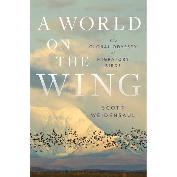 A World on the Wing: Bird Migration | Birding Wire