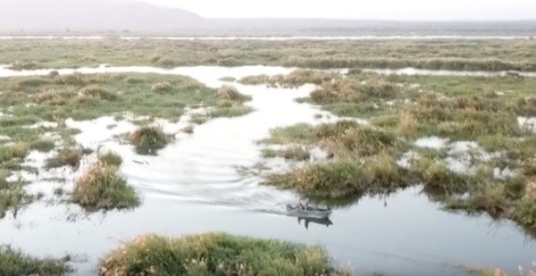 MOJO® Untamed Episode This Week on Pursuit Channel | Outdoor Wire