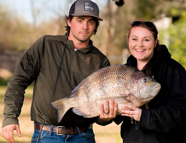 Spring Sheepshead Bite Turns On | Water World Wire