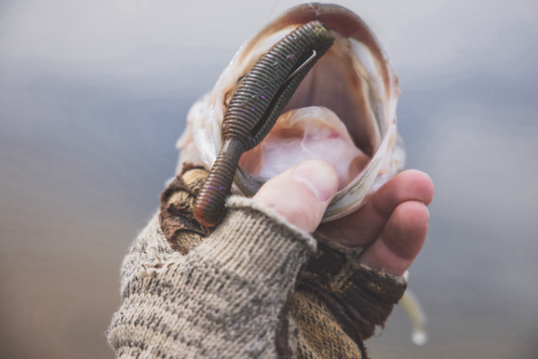 Yamatanuki invade EE.UU. | Outdoor Wire Espanol