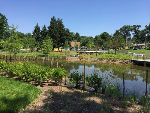 Maryland Department of Natural Resources Announces Federal Funds ...