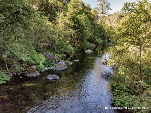 California DFW Announces Grants to Improve Salmon Habitat | Water World ...