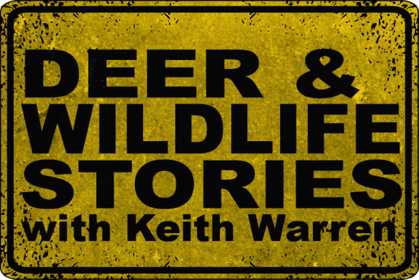 Vets turned Deer Farmers | Tecate Creek Whitetails | The Outdoor Wire