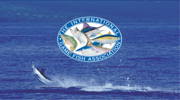 IGFA Announces Great Marlin Race to Boost Billfish Science | Water ...