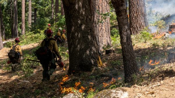 Protecting Water From Fire | Outdoor Wire