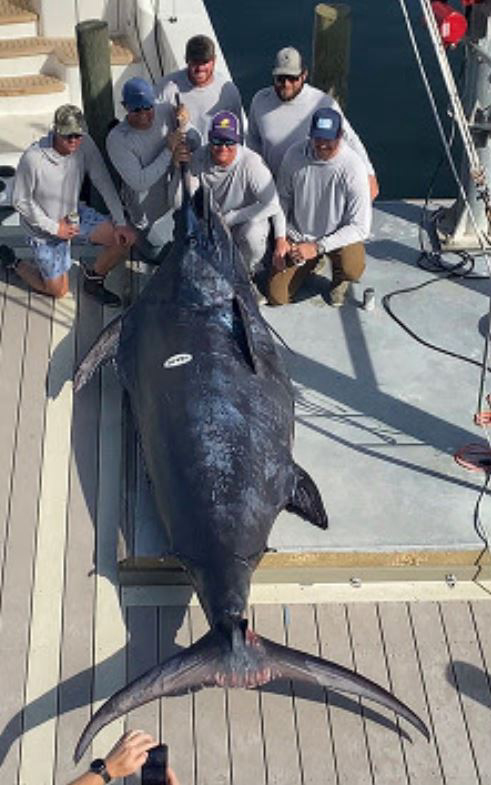 Finding Monster Marlin with New Technology | The Outdoor Wire