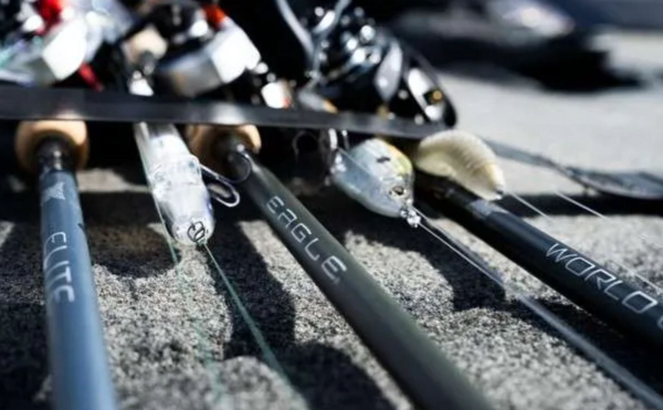 New Fenwick Rods Series Include New World Class Series | Water World Wire