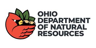 ODNR Stocked 46 Million Fish in 2024 Across Ohio | The Outdoor Wire