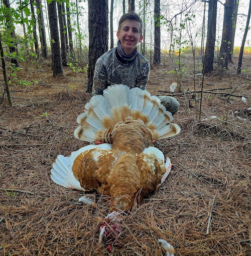 Arkansas Hunters Post Nine-Year High in Turkey Harvest | Outdoor Wire