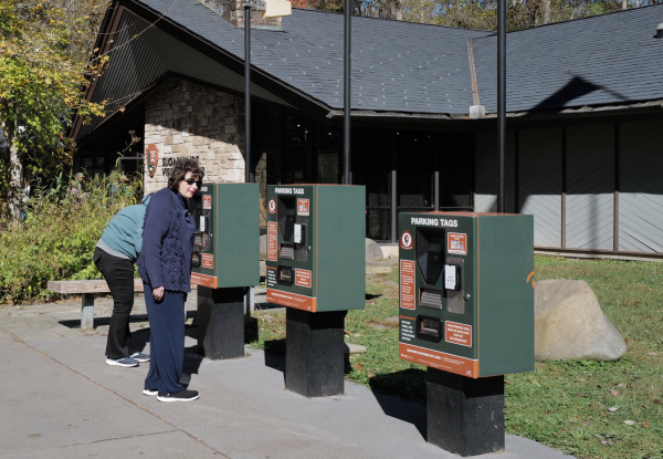 Un motor económico que sigue funcionando a pesar del cierre del ...